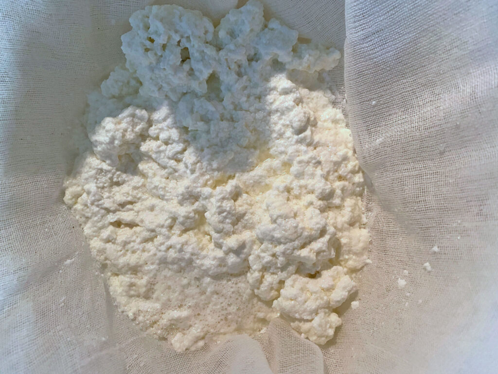 Recipe: Ricotta Cheese - Culinary Bad Ass Kevin