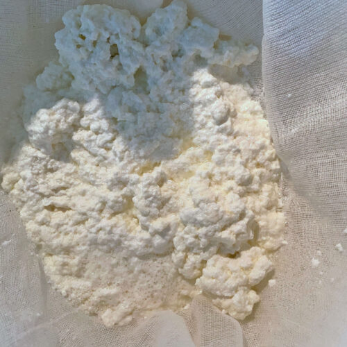 Recipe: Ricotta Cheese - Culinary Bad Ass Kevin